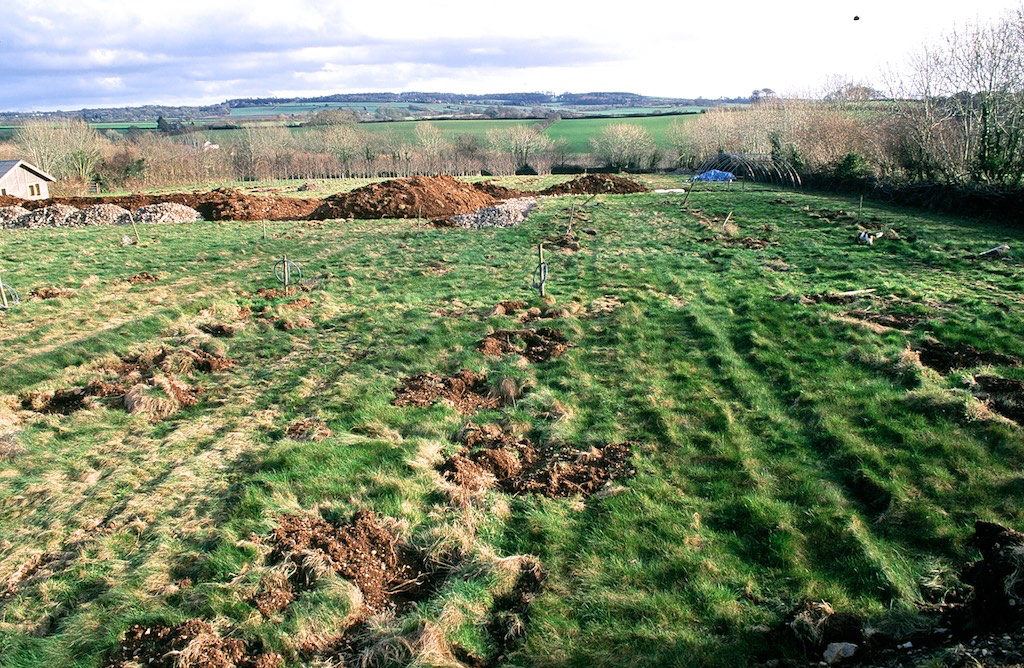 SCULPTING A LANDSCAPE | WILEY AT WILDSIDE