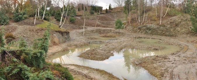 THE ROS WILEY TRIBUTE GARDEN | WILEY AT WILDSIDE