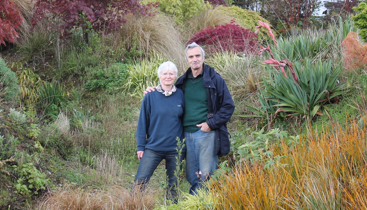 ABOUT US | WILEY AT WILDSIDE