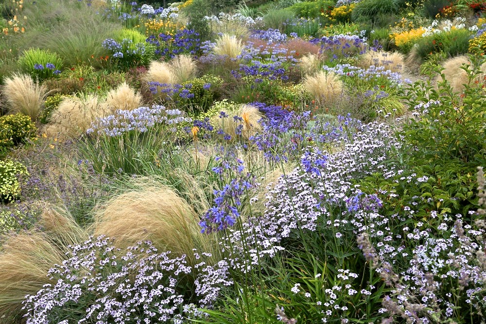 Wildside Garden – Agosto2014 p 1000px | WILEY AT WILDSIDE