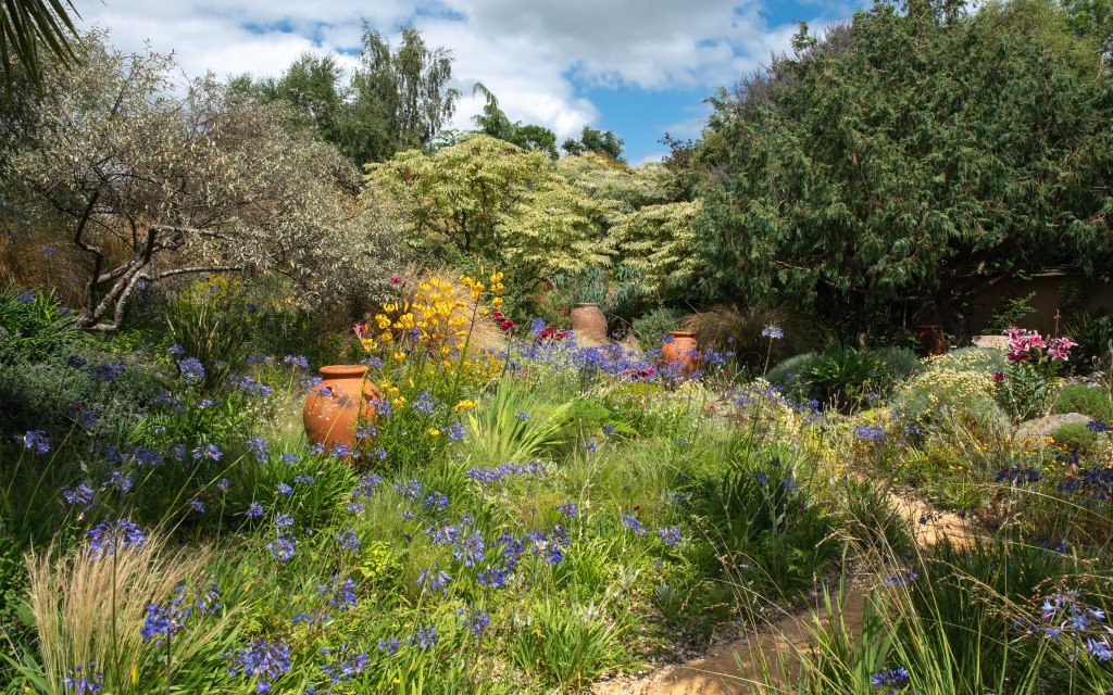 GARDEN GALLERY | WILEY AT WILDSIDE