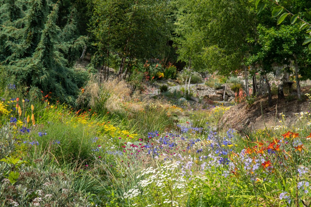 GARDEN GALLERY | WILEY AT WILDSIDE