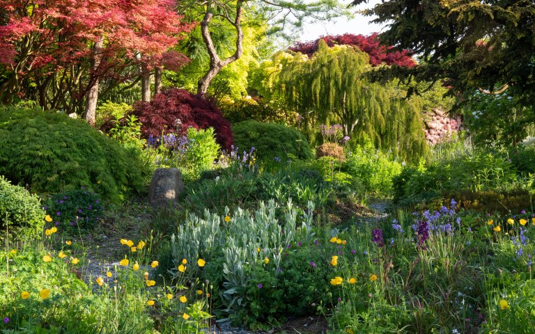 WILEY AT WILDSIDE | Risk-taking in Landscape