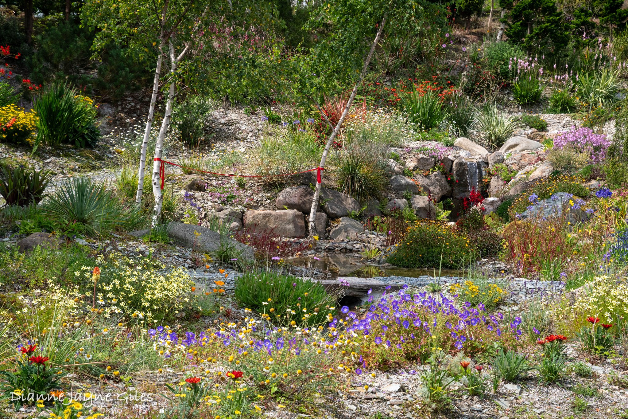 WILEY AT WILDSIDE | Risk Taking in Landscape