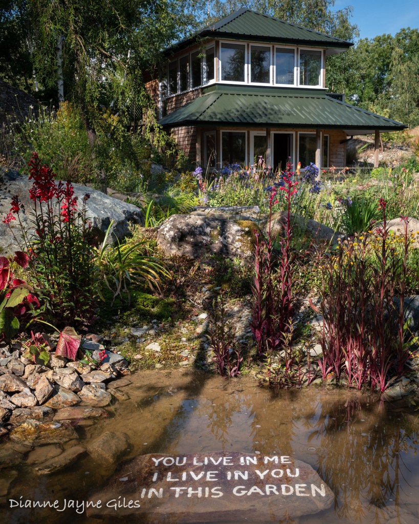 GARDEN GALLERY | WILEY AT WILDSIDE