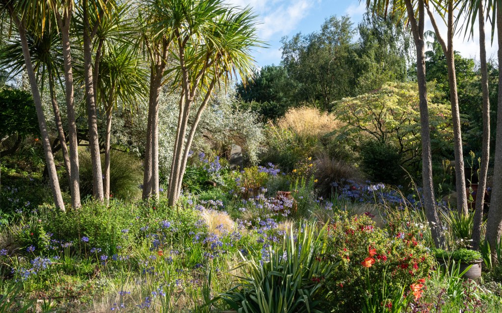 WILEY AT WILDSIDE | Risk-taking in Landscape