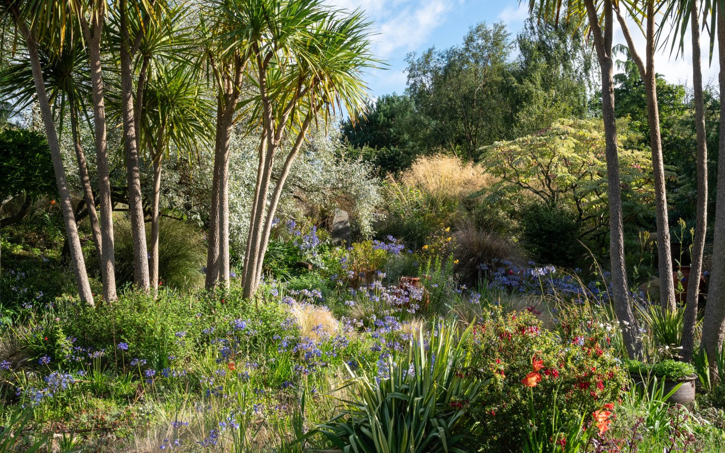 WILEY AT WILDSIDE | Risk-taking in Landscape