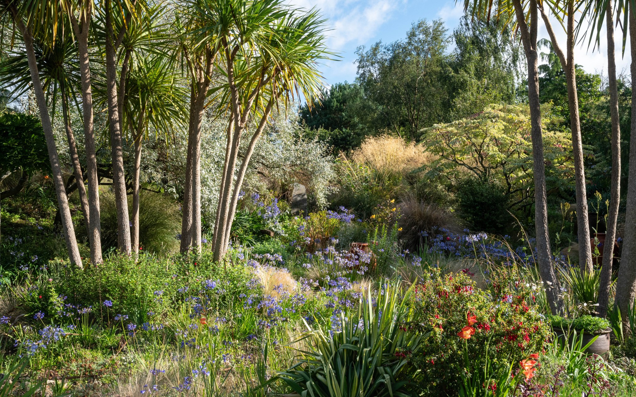 WILEY AT WILDSIDE | Risk-taking in Landscape