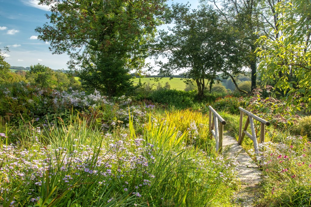 GARDEN GALLERY | WILEY AT WILDSIDE