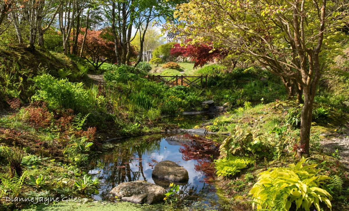 WILEY AT WILDSIDE | Risk Taking in Landscape