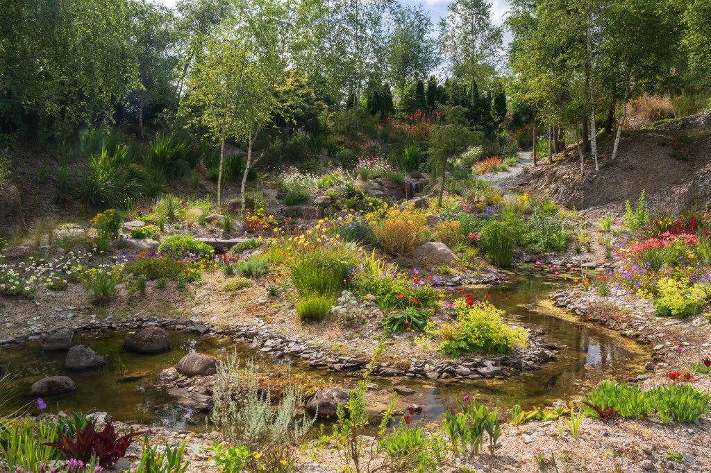 WILEY AT WILDSIDE | Risk-taking in Landscape